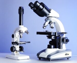 What are the Different Types of Microscopes- Scope Options
