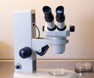 Dissecting Microscope vs Compound Microscope- Scope Options
