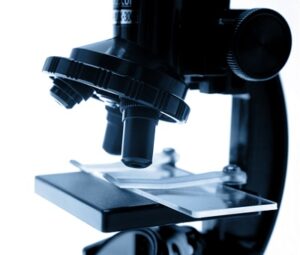 Using a Microscope for Beginners- How to - Scope Options